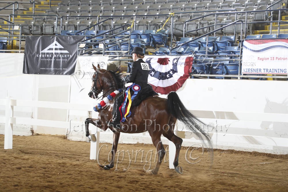 Open - Horse Shows - 2020 - 2025 Farm and Horse Shows - 2020 Region 15 ...