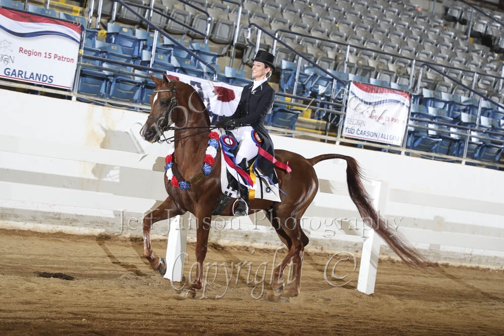 PB Show Hack ATR - Horse Shows - 2020 - 2025 Farm and Horse Shows ...