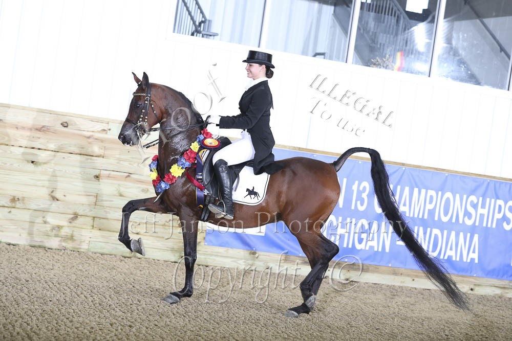 PB Show Hack JTR - Horse Shows - 2020 - 2025 Farm and Horse Shows ...