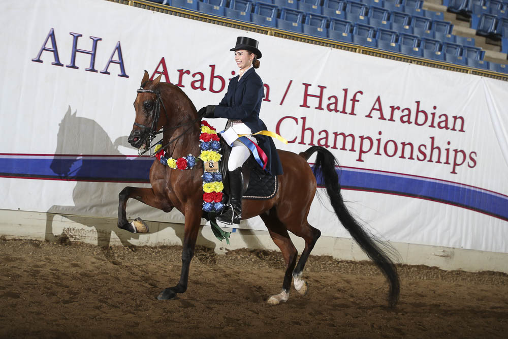 PB Show Hack AATR - Horse Shows - 2020 - 2025 Farm and Horse Shows ...