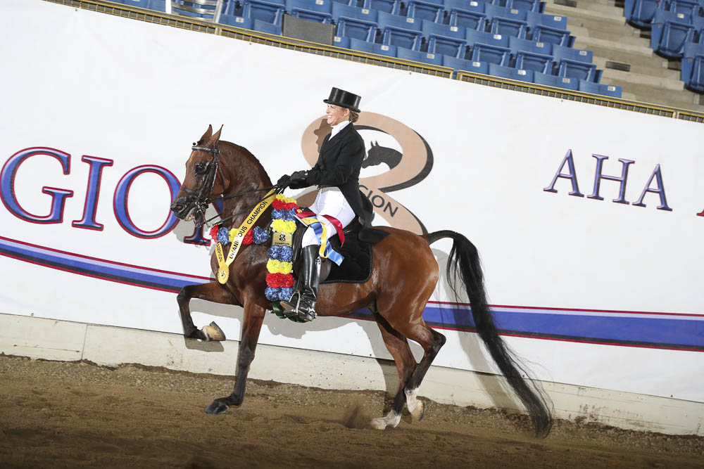 PB Show Hack Open - Horse Shows - 2020 - 2025 Farm and Horse Shows ...