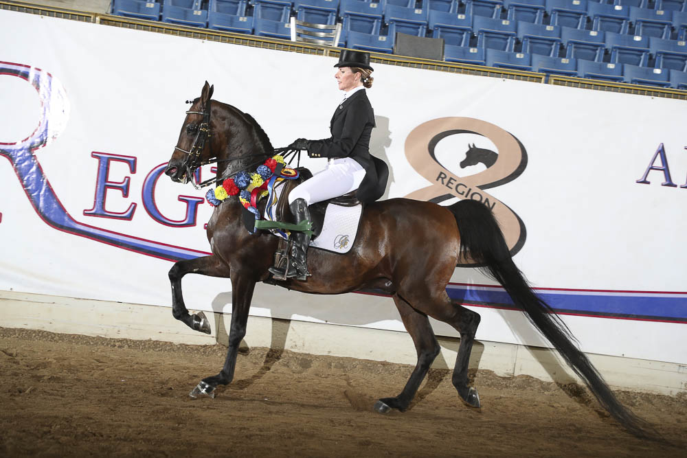 HA Show Hack AATR - Horse Shows - 2020 - 2025 Farm and Horse Shows ...