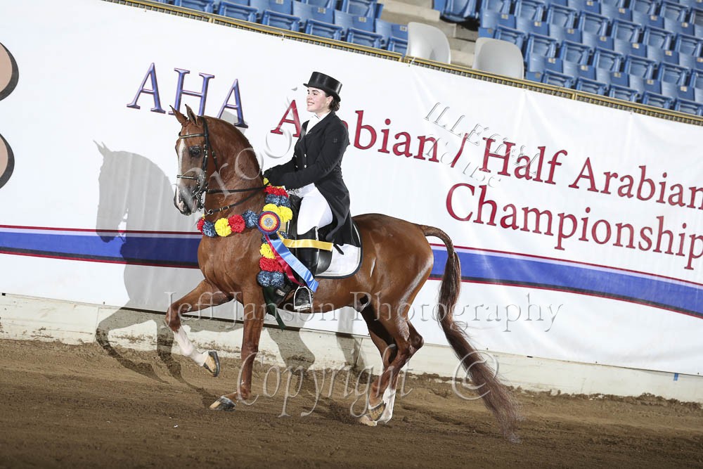 HA Show Hack JTR - Horse Shows - 2020 - 2025 Farm and Horse Shows ...