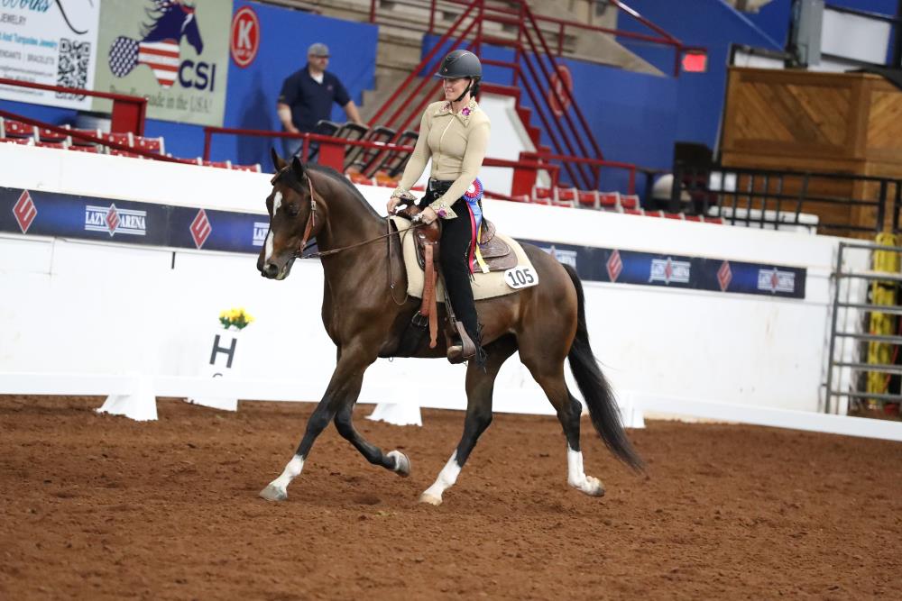 Horse Shows - 2020 - 2025 Farm and Horse Shows - 2023 WDAA World ...